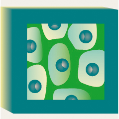 BioCrine